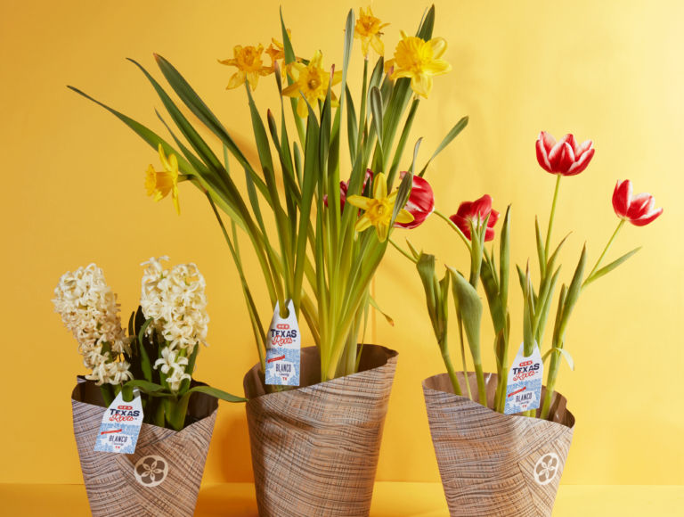 Providing Texans with Quality Produce and a Mindful Footprint | Our ...